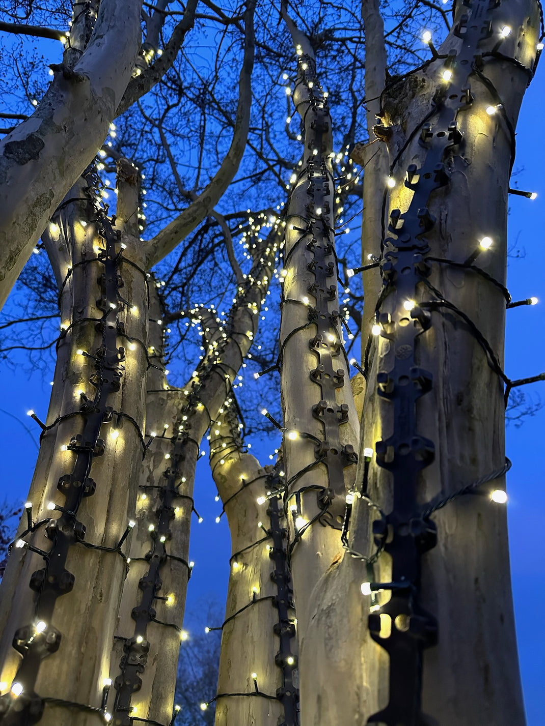 TREE-Z® Wrap | Enhance String Lights