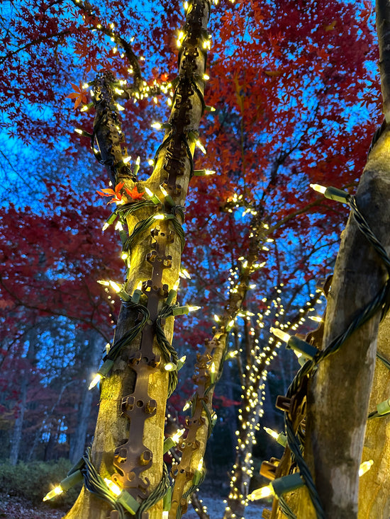 TREE-Z® Wrap
